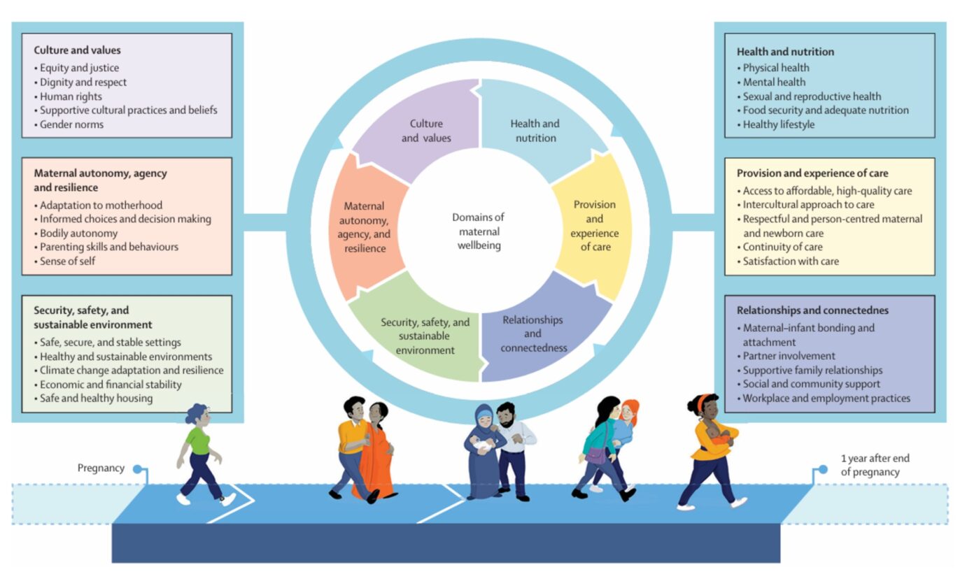 WHO presents a global definition and conceptual framework for maternal ...