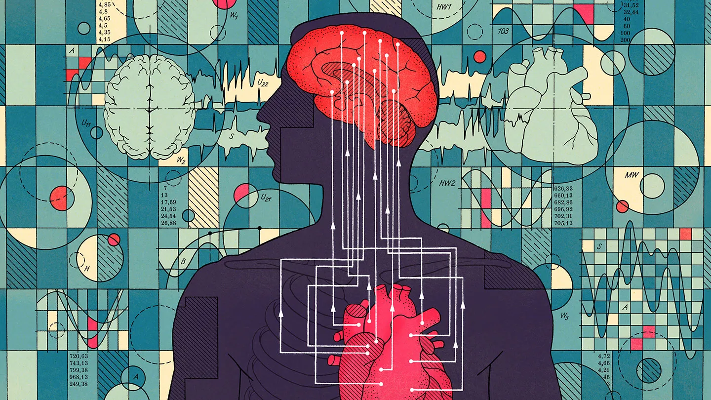Research: Heart function influences cognitive functions and emotional ...