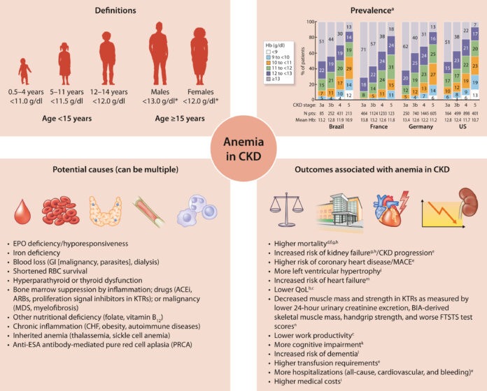 KDIGO 2026 Guideline: Anemia in Chronic Kidney Disease - MedScriptum