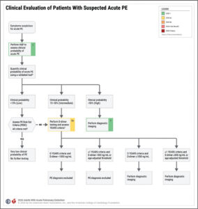 2026 AHA/ACC Guideline for the Management of Acute Pulmonary Embolism ...