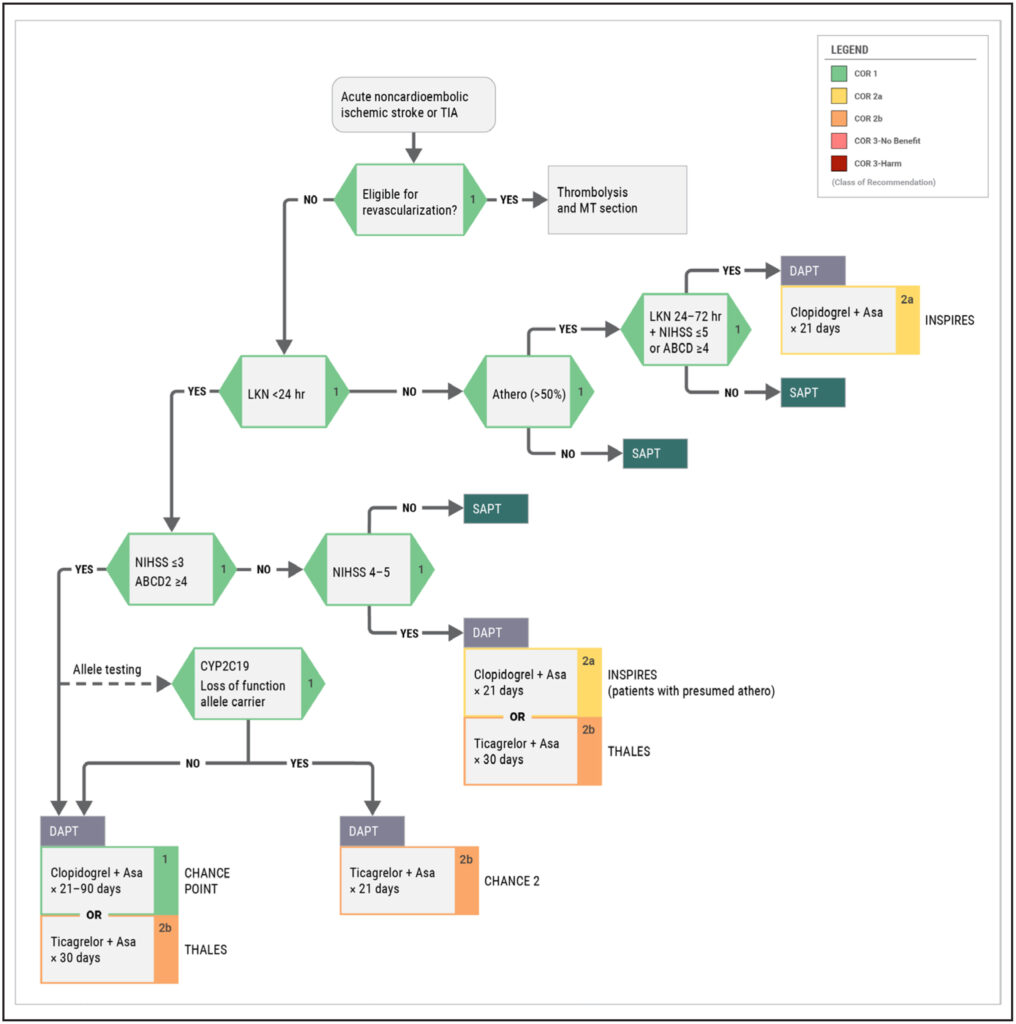 2026 AHA/ASA Guidelines for the Early Management of Acute Ischemic ...