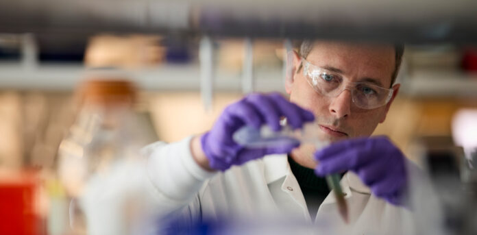 Gene Therapy and New Horizons in Hypercholesterolemia Management ...
