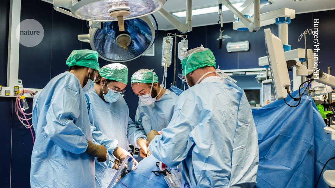 CAR-T therapy offers kidney transplant chance for patients with ...